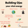 Ojas Meaning in Ayurveda: The Essence of Vitality and Immunity ...