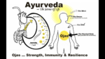 Ojas Meaning in Ayurveda: The Essence of Vitality and Immunity ...